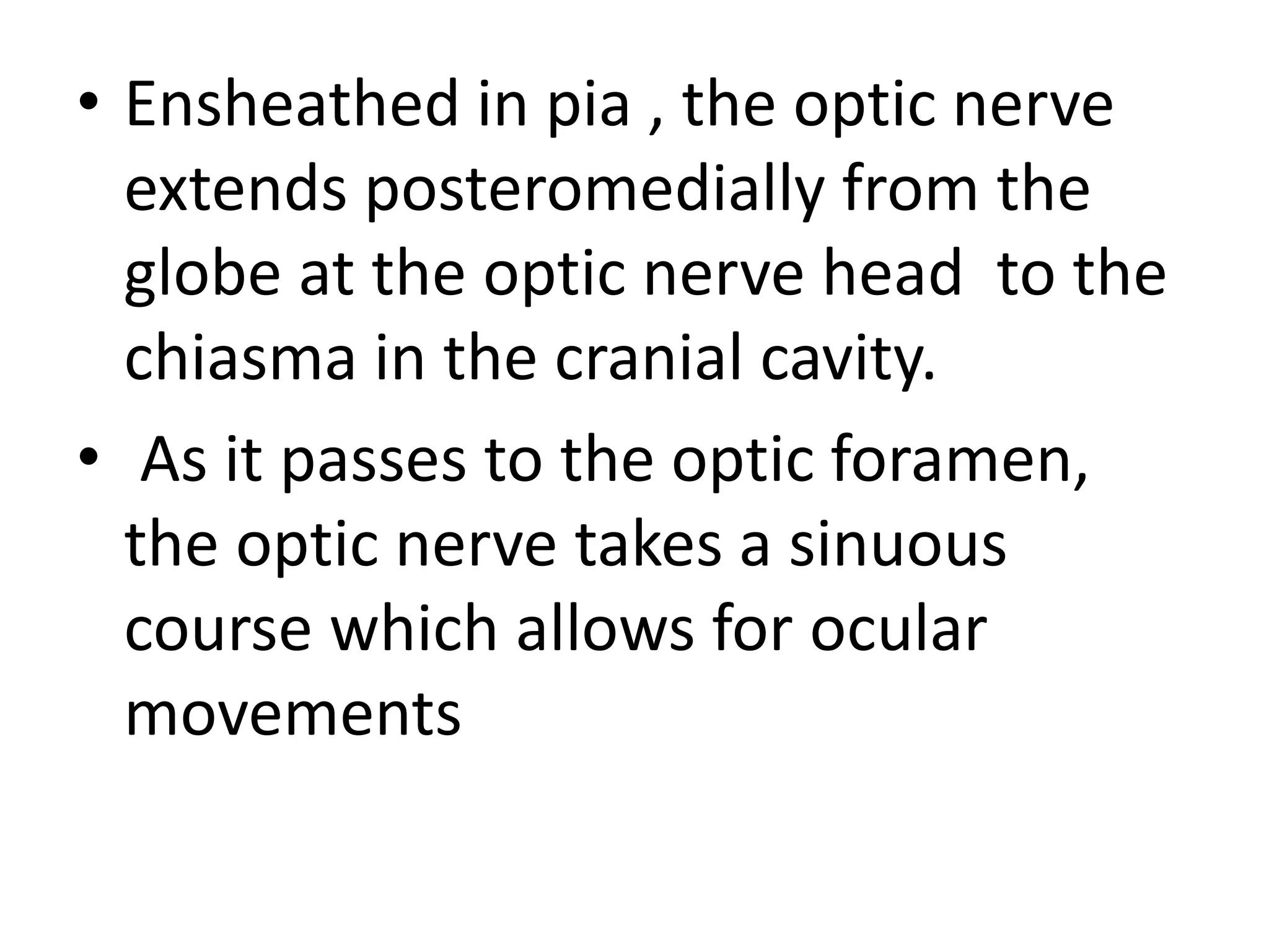 Anatomy of optic nerve | PPTX