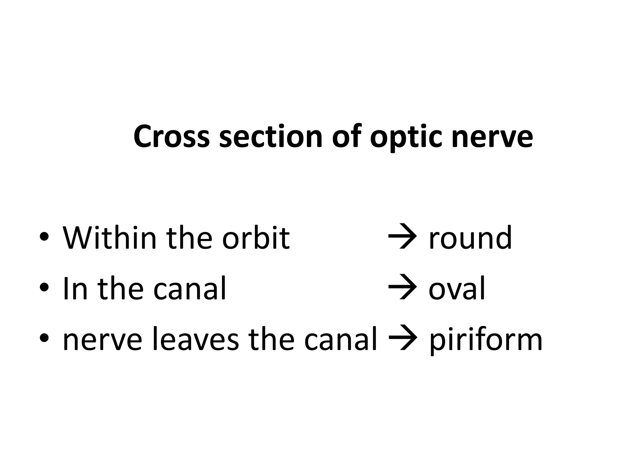 Anatomy of optic nerve | PPTX