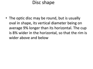 Anatomy of optic nerve | PPTX