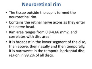 Anatomy of optic nerve | PPTX