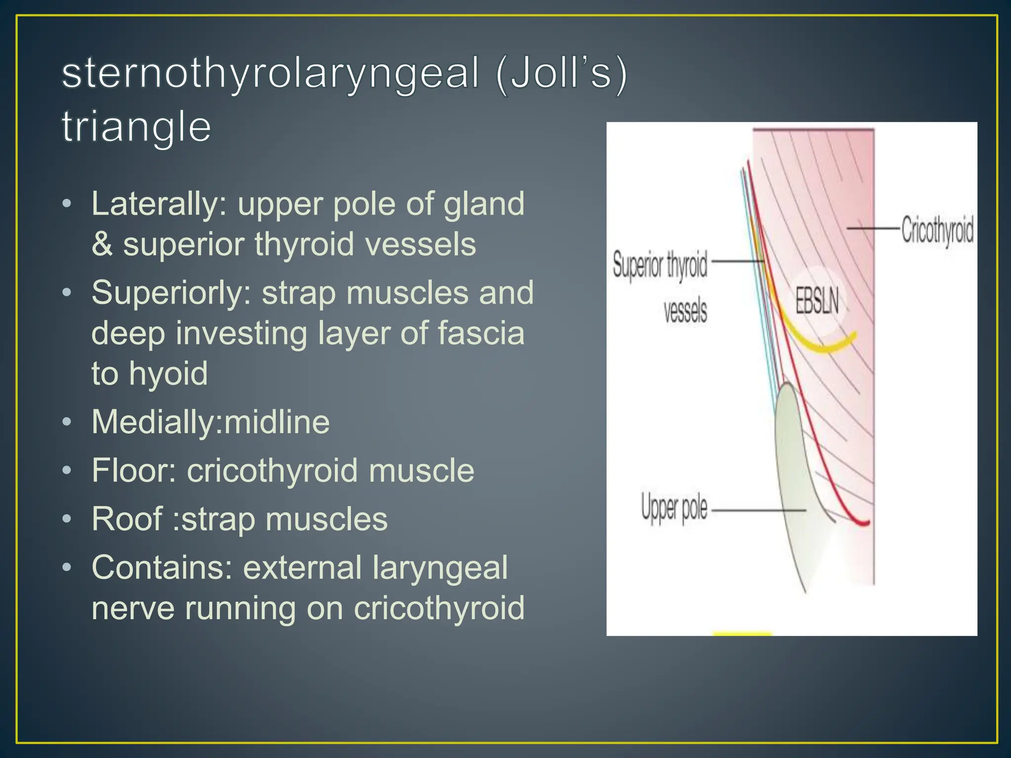 Anatomy of thyroid.pptx