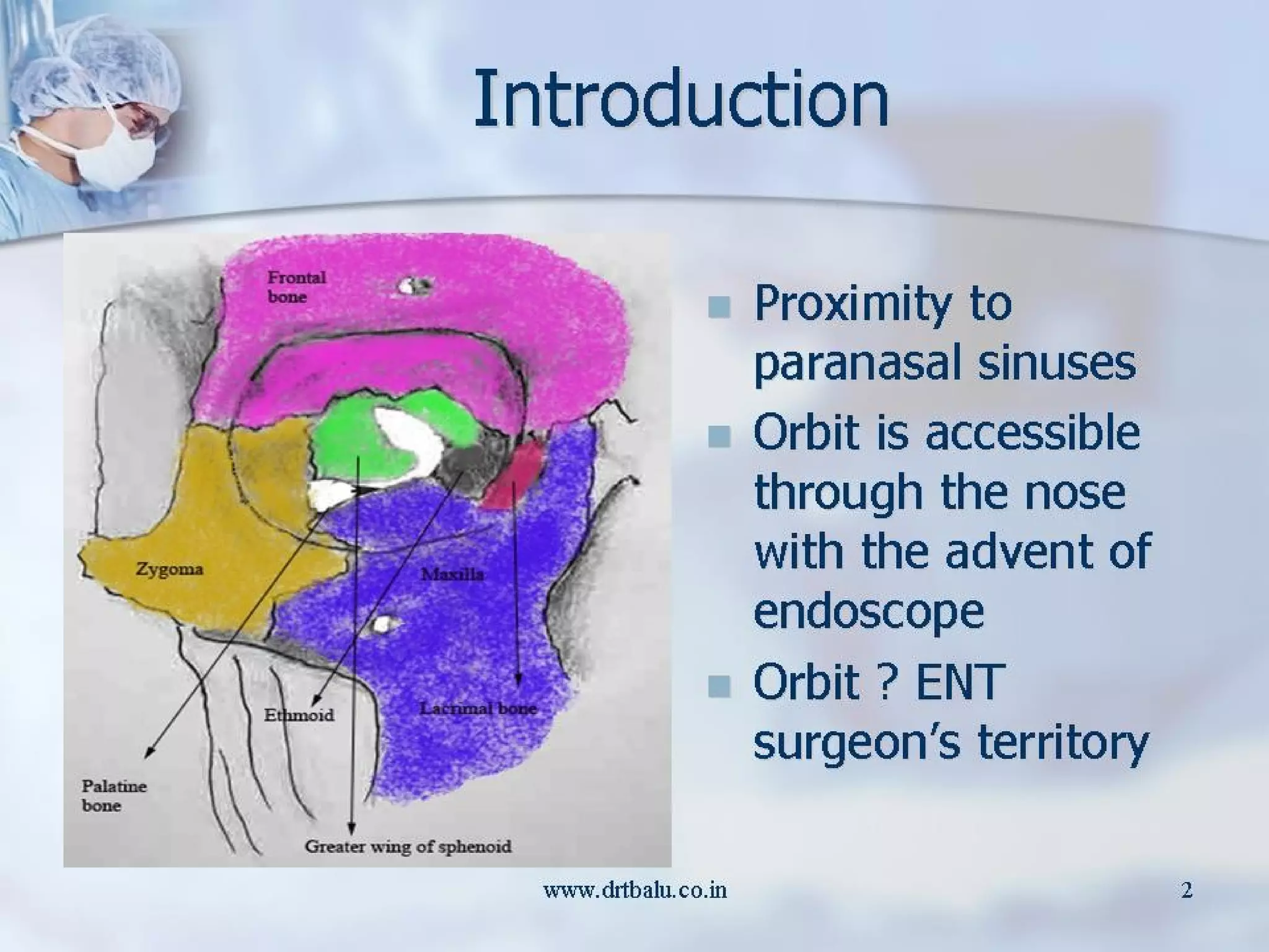 Anatomy of orbit | PPT
