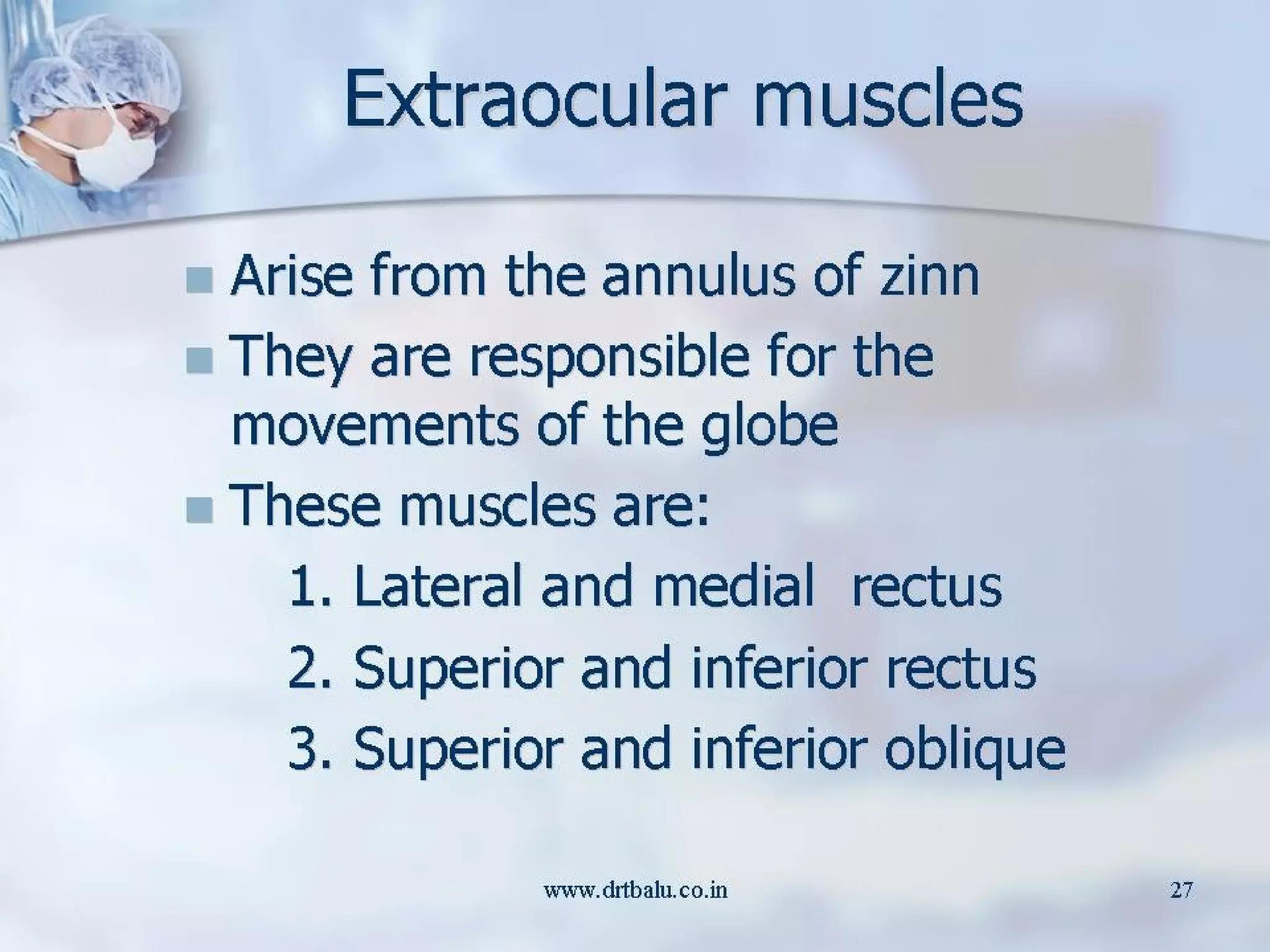 Anatomy of orbit | PPT