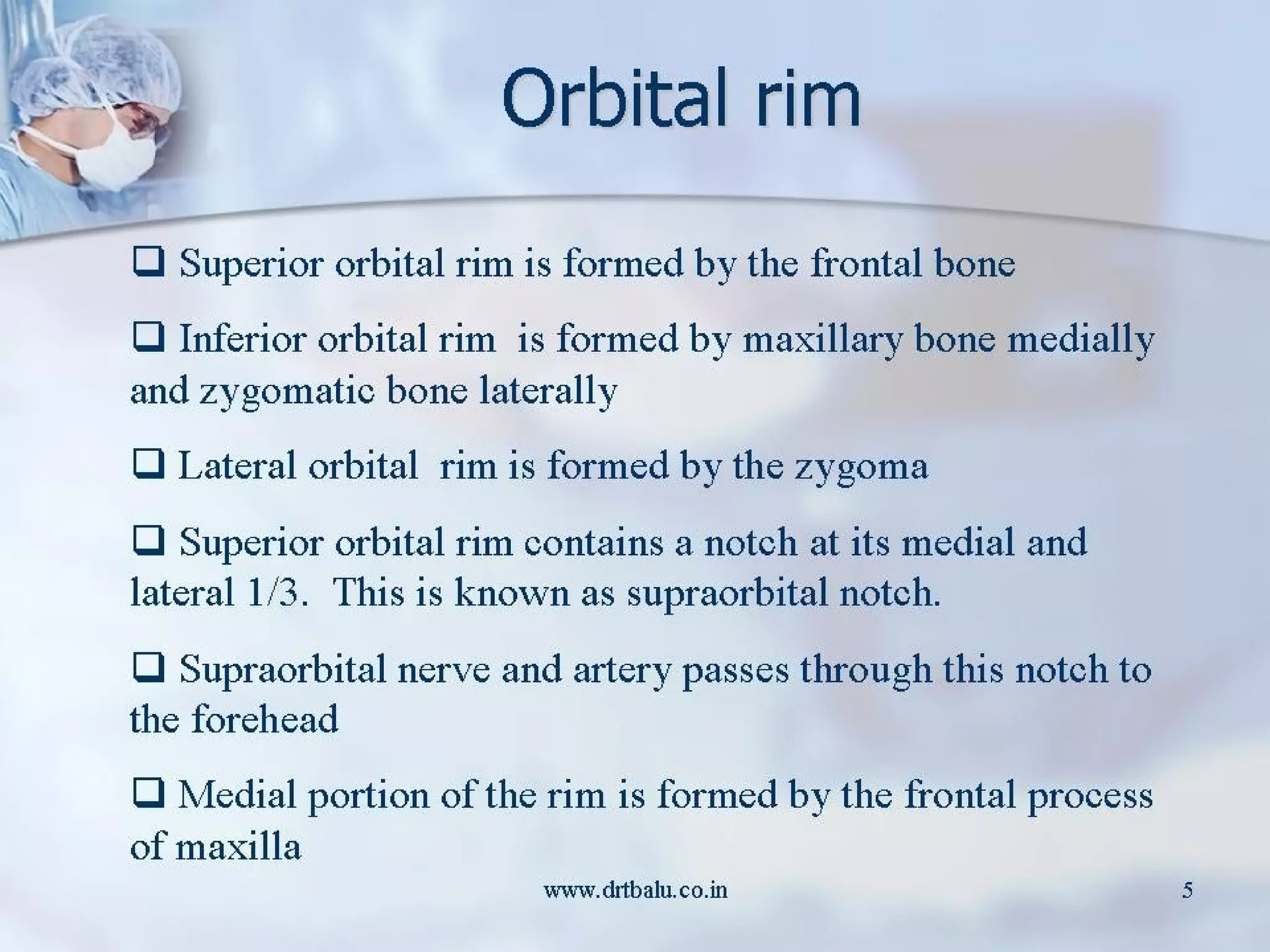 Anatomy of orbit | PPT