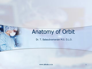 Anatomy of orbit | PPT