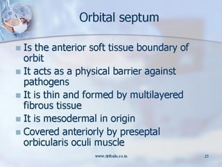 Anatomy of orbit | PPT
