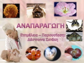 Αναπαραγωγή στον άνθρωπο | PDF