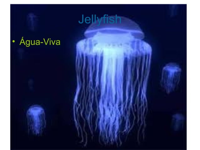 Ana paula animals | PPT