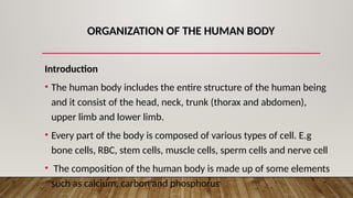 ANA & PHS week 1 lecture powerpoint silde.pptx