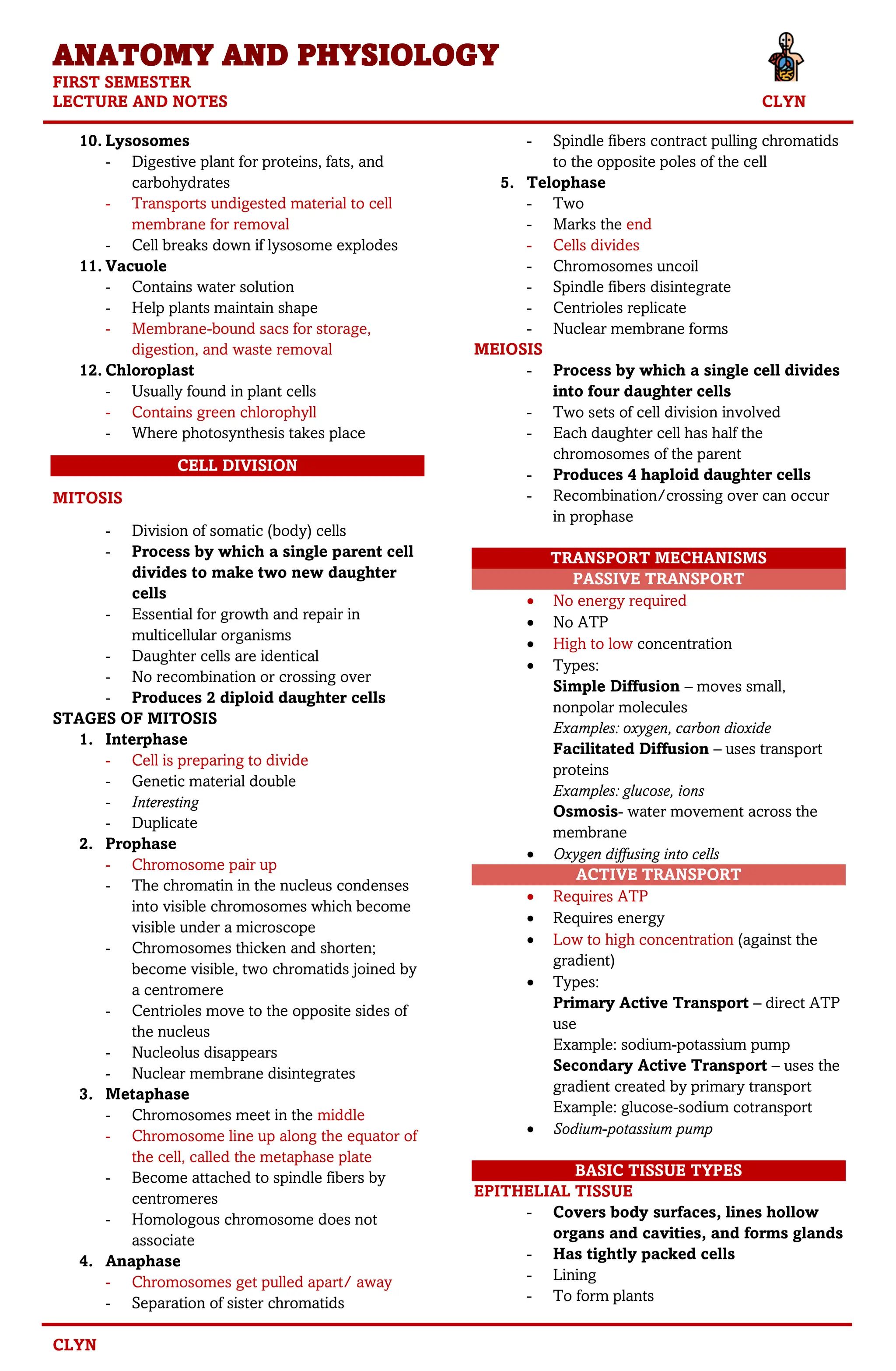 Anatomy and Physiology Reviewer Lesson 1 | PDF
