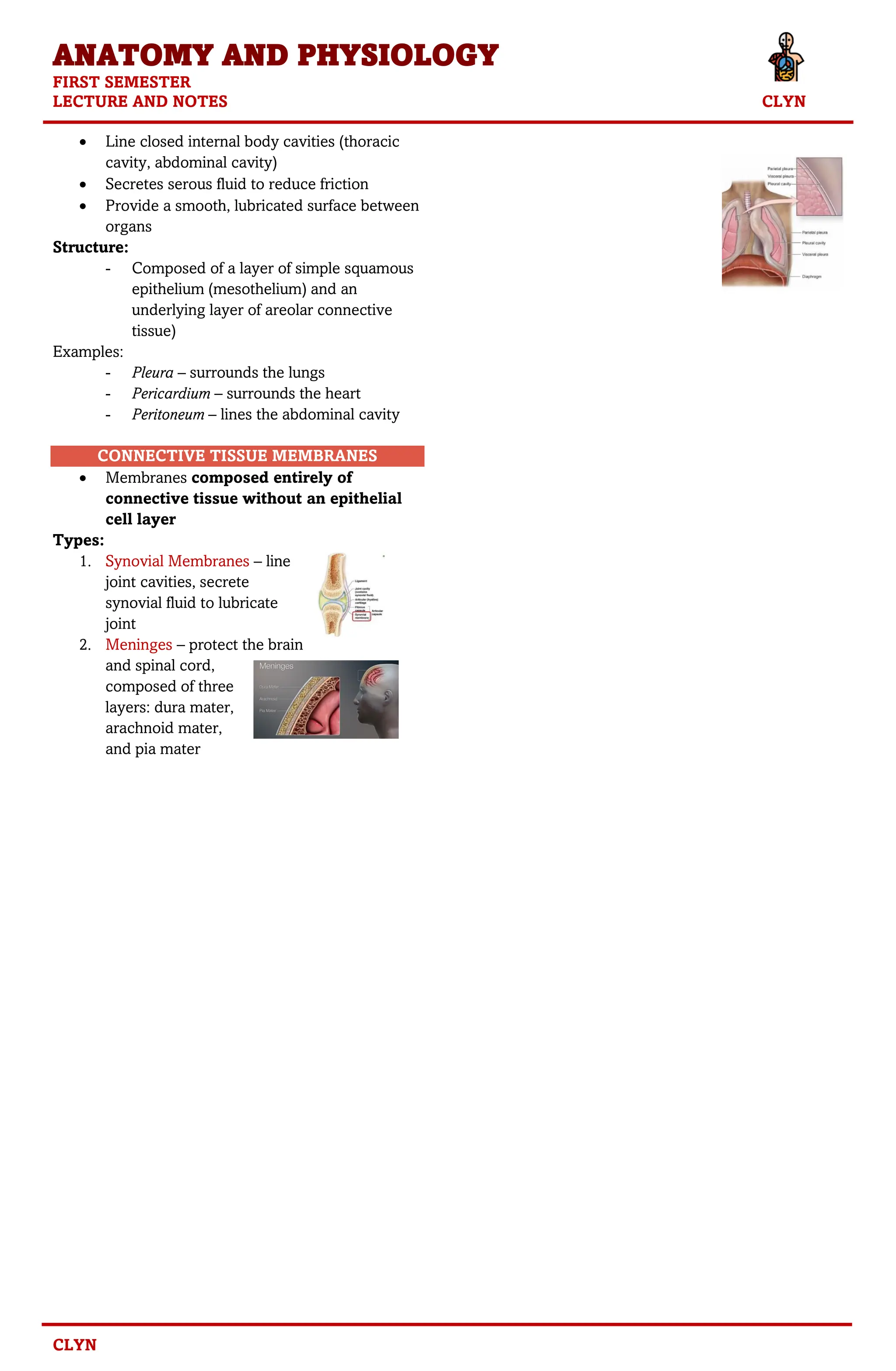Anatomy and Physiology Reviewer Lesson 1 | PDF