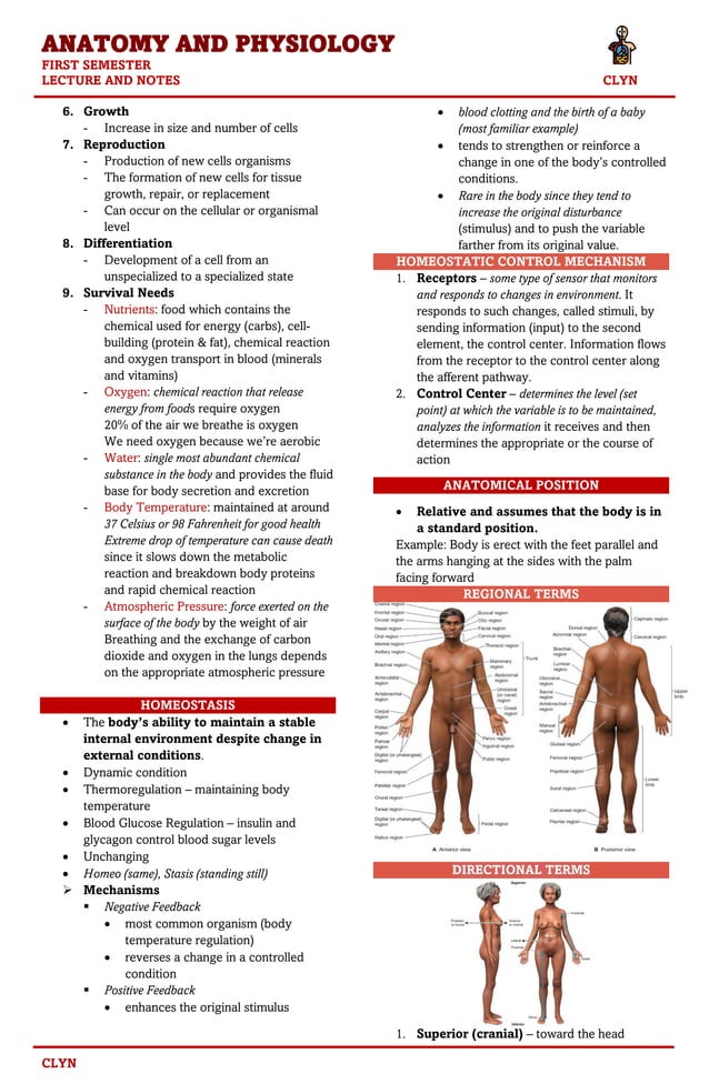 Anatomy and Physiology Reviewer Lesson 1 | PDF