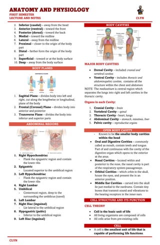 Anatomy and Physiology Reviewer Lesson 1 | PDF