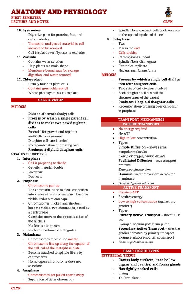 Anatomy and Physiology Reviewer Lesson 1 | PDF