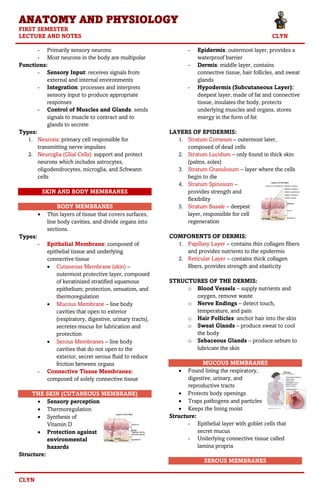 Anatomy and Physiology Reviewer Lesson 1 | PDF
