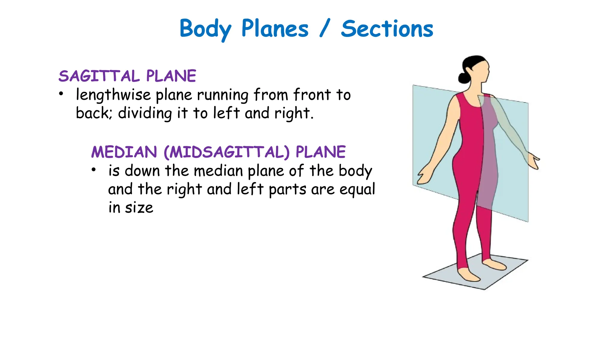 ANAPHY Anatomy and Physiology.pptxbdnddx | PPTX
