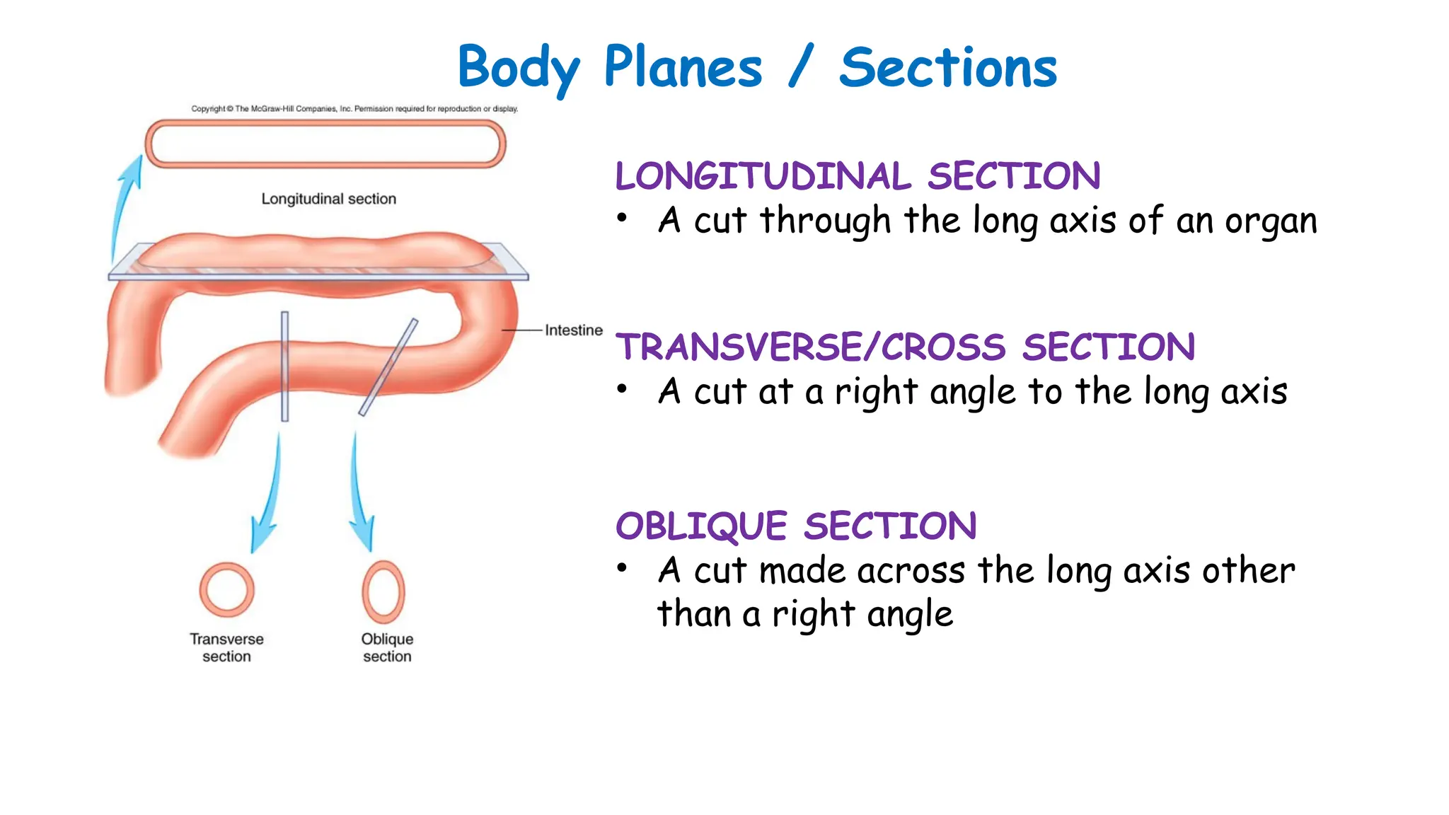 ANAPHY Anatomy and Physiology.pptxbdnddx | PPTX