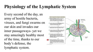 Anatomy and Physiology - Lymphatic system.pptx