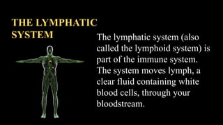 Anatomy and Physiology - Lymphatic system.pptx