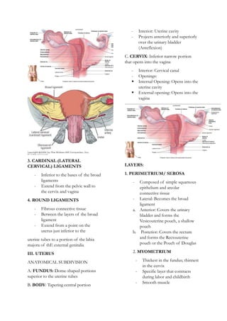 The Respiratory System- Anatomy and Physiology | DOCX