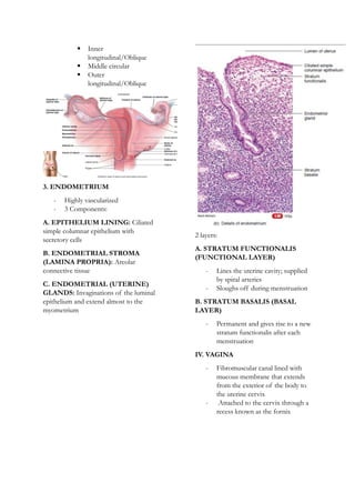 The Respiratory System- Anatomy and Physiology | DOCX