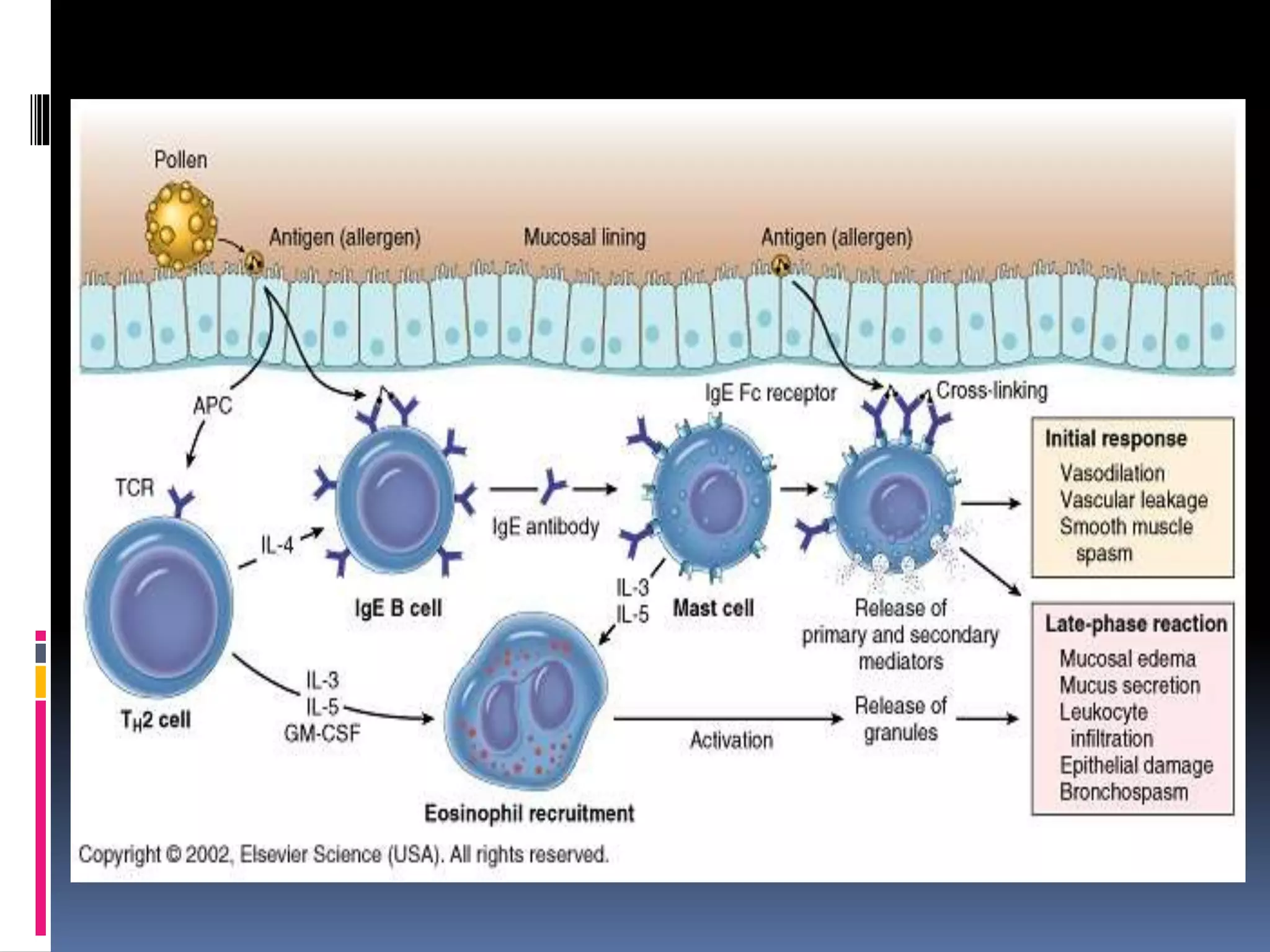 PEDIATRIC ANAPHYLAXIS | PPTX