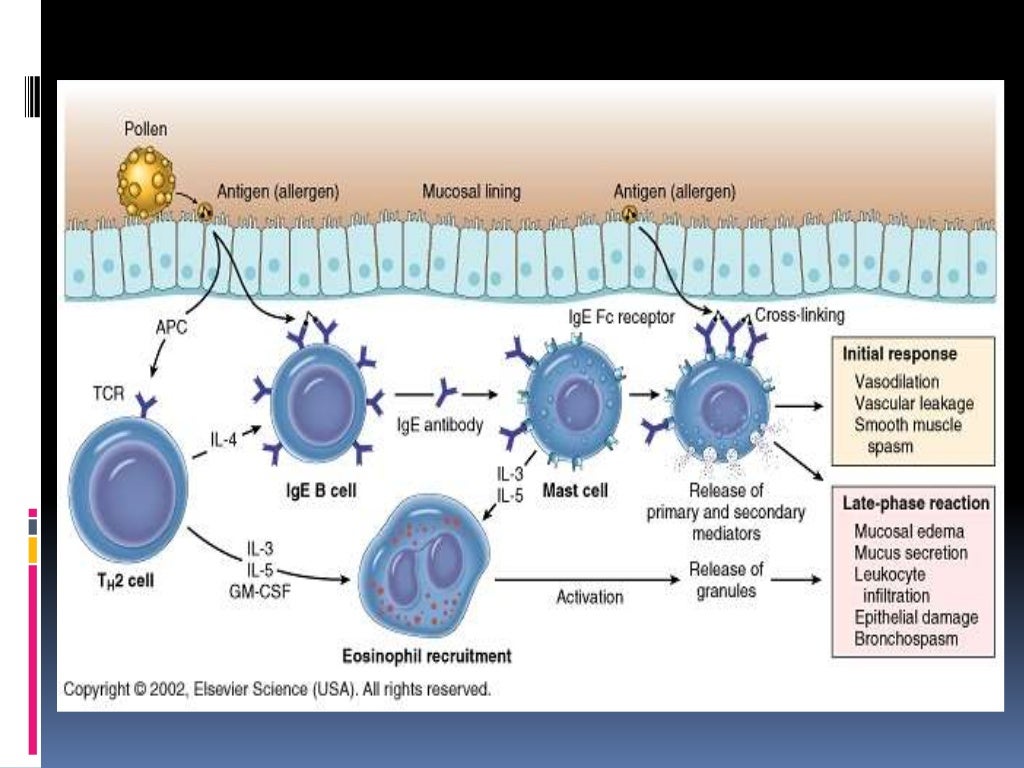 PEDIATRIC ANAPHYLAXIS