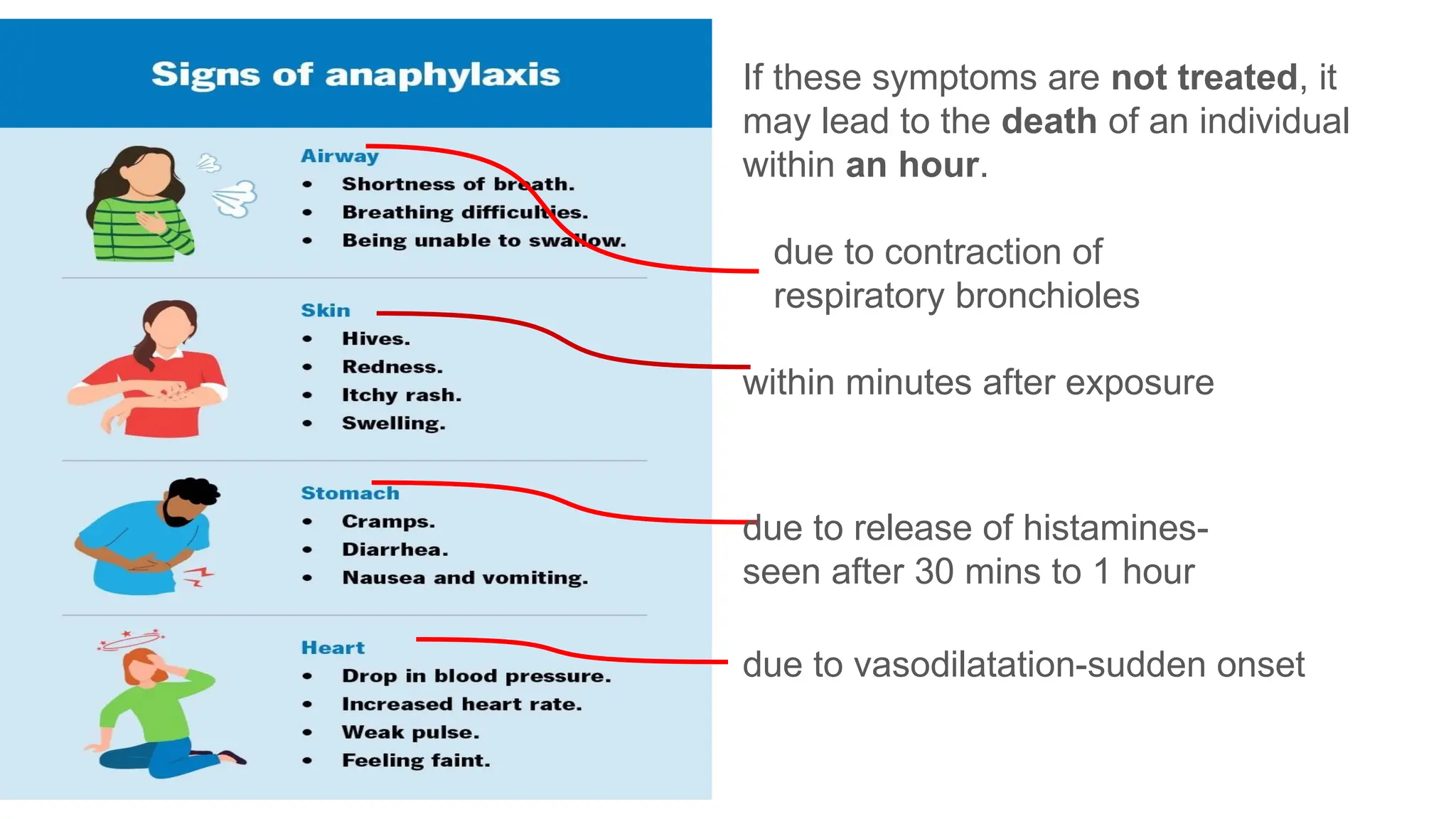 Anaphylactic shock: pathogenesis, etiology and examples | PPT