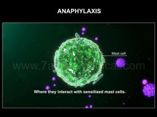 Anaphylaxis | PPTX
