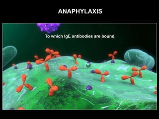 Anaphylaxis | PPTX