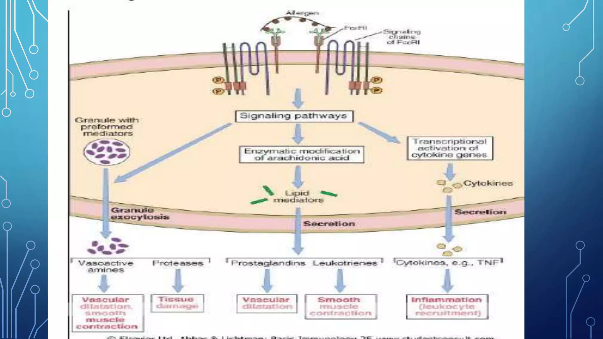 Anaphylaxis | PPTX