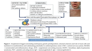 Anaphylaxis.pdf