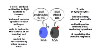 ANAPHYLAXIS.pptx