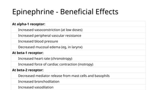 "Anaphylaxis Explained: A Practical Overview for Healthcare ...