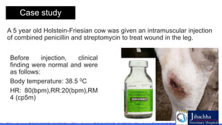 Anaphylaxis shock due to penicillin-DR.Jibachha Sah | PDF