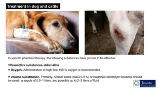 Anaphylaxis shock due to penicillin-DR.Jibachha Sah | PDF