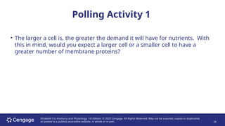 ANATOMY AND PHYSIOLOGY LECTURE CHAPTER 4 | PPTX