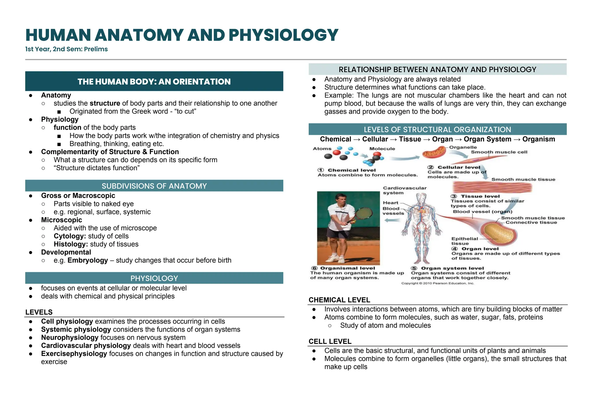 ANAPHYPrelimsssssssssssssssssssssssssssss | PDF