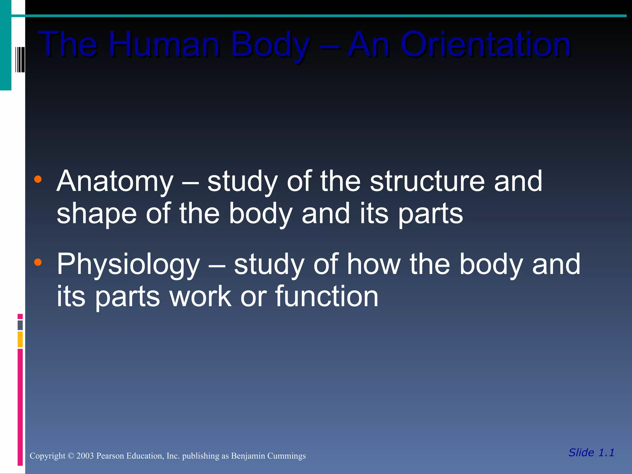 Anatomy and Physiology Chapter 1 - Introduction to Anatomy and ...