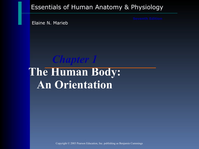 Anatomy and Physiology Chapter 1 - Introduction to Anatomy and ...