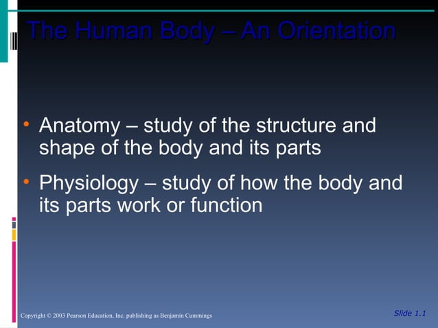 Anatomy and Physiology Chapter 1 - Introduction to Anatomy and ...