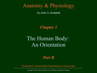 Anatomy and Physiology Chapter 1 - Introduction to Anatomy and ...