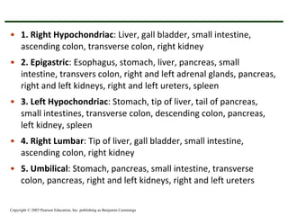 Anatomy and Physiology Chapter 1 - Introduction to Anatomy and ...
