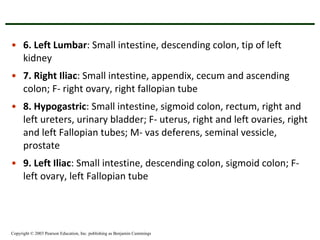 Anatomy and Physiology Chapter 1 - Introduction to Anatomy and ...