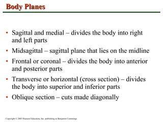 Anatomy and Physiology Chapter 1 - Introduction to Anatomy and ...