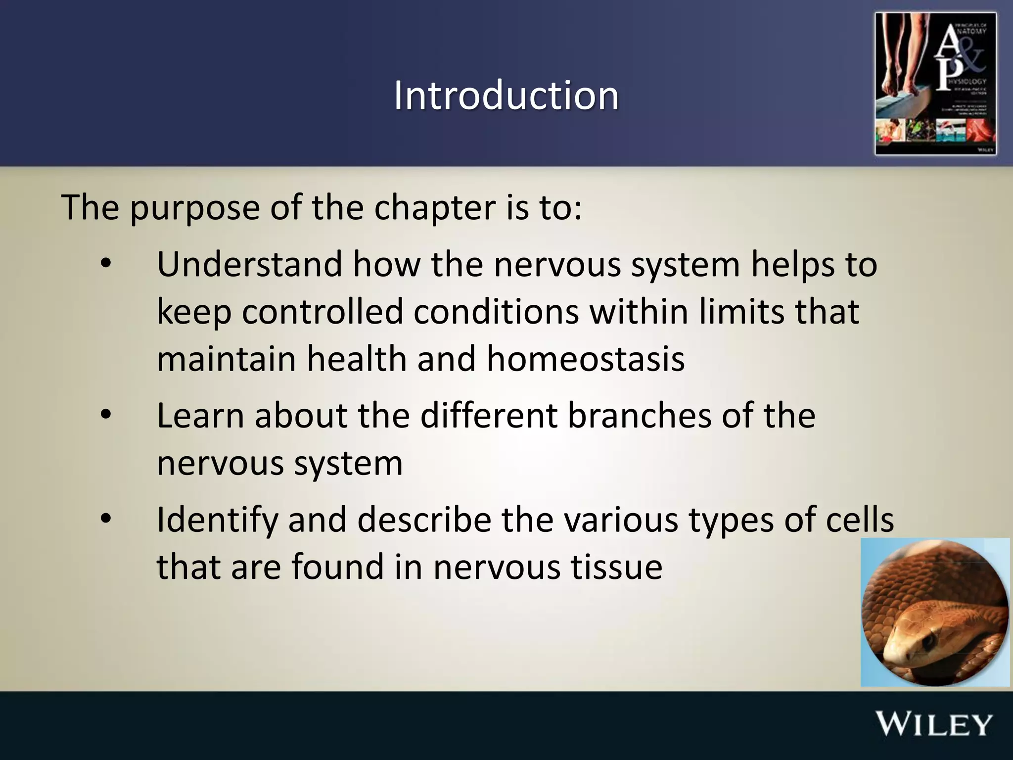 [12] ANAPHYSIO The Nervous System: Nervous Tissue | PDF