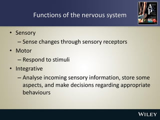 [12] ANAPHYSIO The Nervous System: Nervous Tissue | PDF