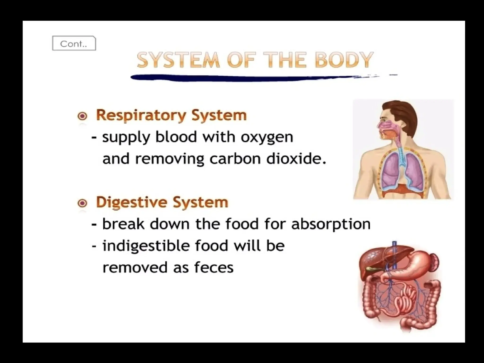 antomy and physiology ppt all systems.pptx