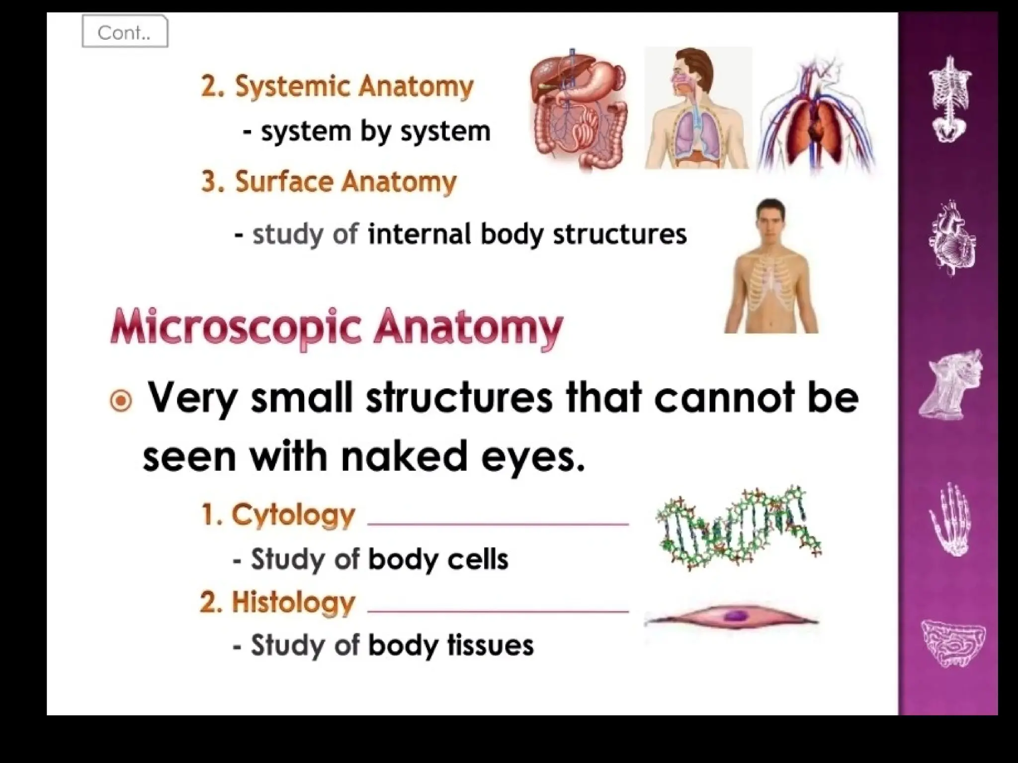 antomy and physiology ppt all systems.pptx