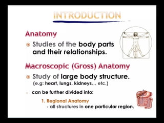 antomy and physiology ppt all systems.pptx